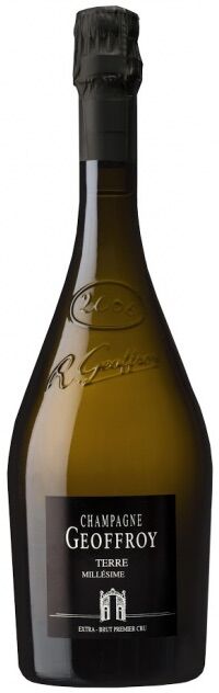 [BUY] 2009 | Champagne Rene Geoffroy | Terre Extra Brut Millesime at ...