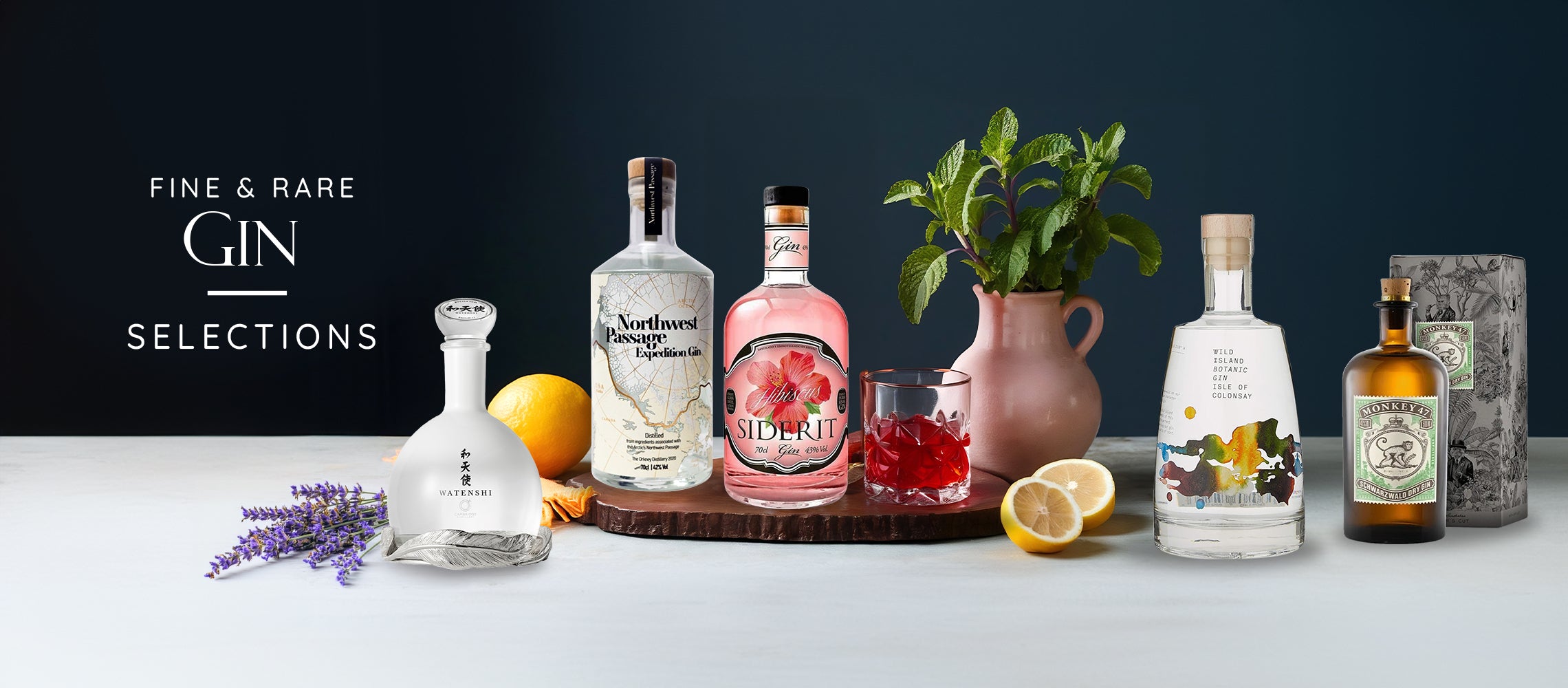 Premium Gin for Sale | 10,20,30 Year Aged Gin Online – CaskCartel.com